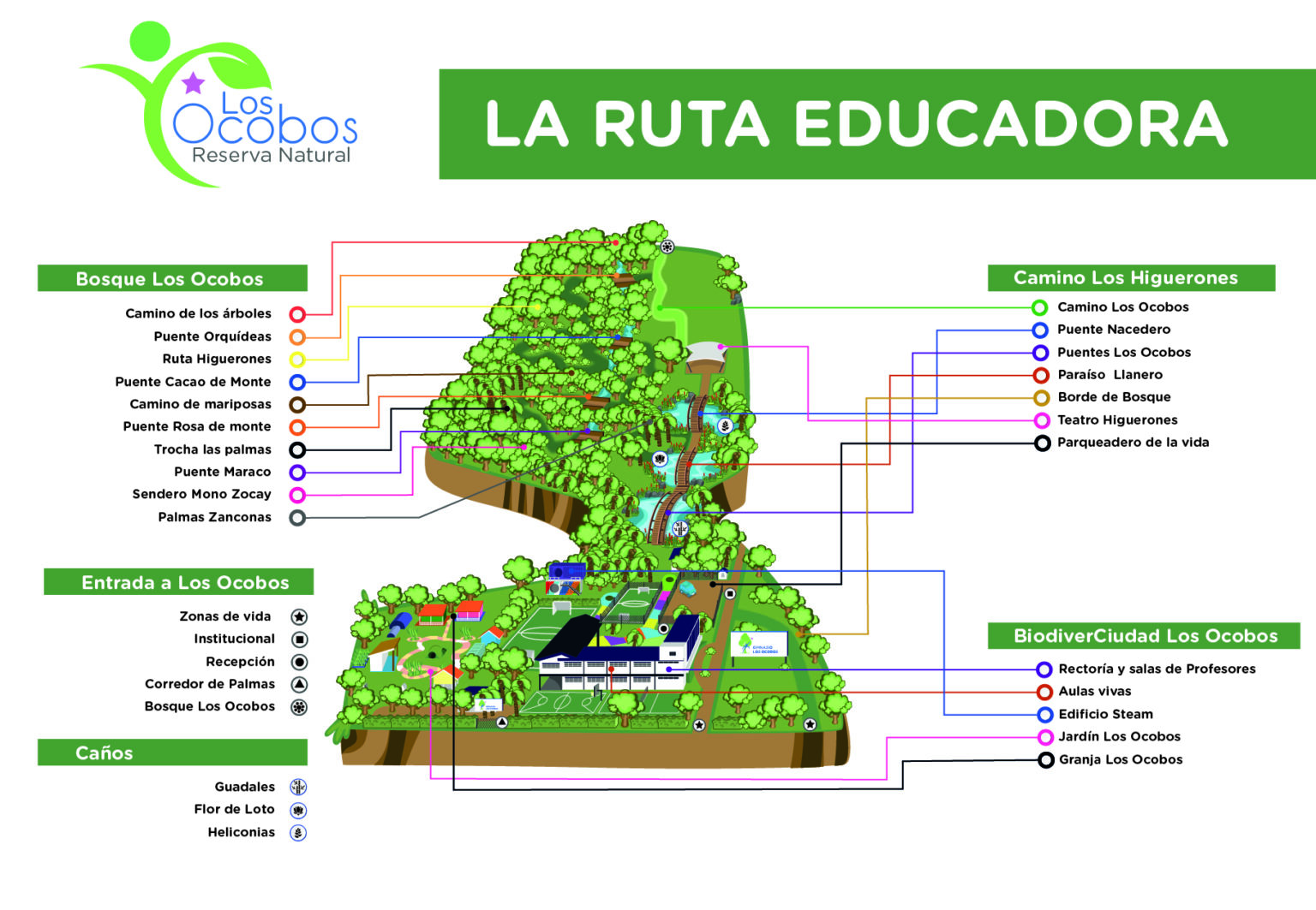 Ocobos Reserva Natural – Gimnasio los Ocobos